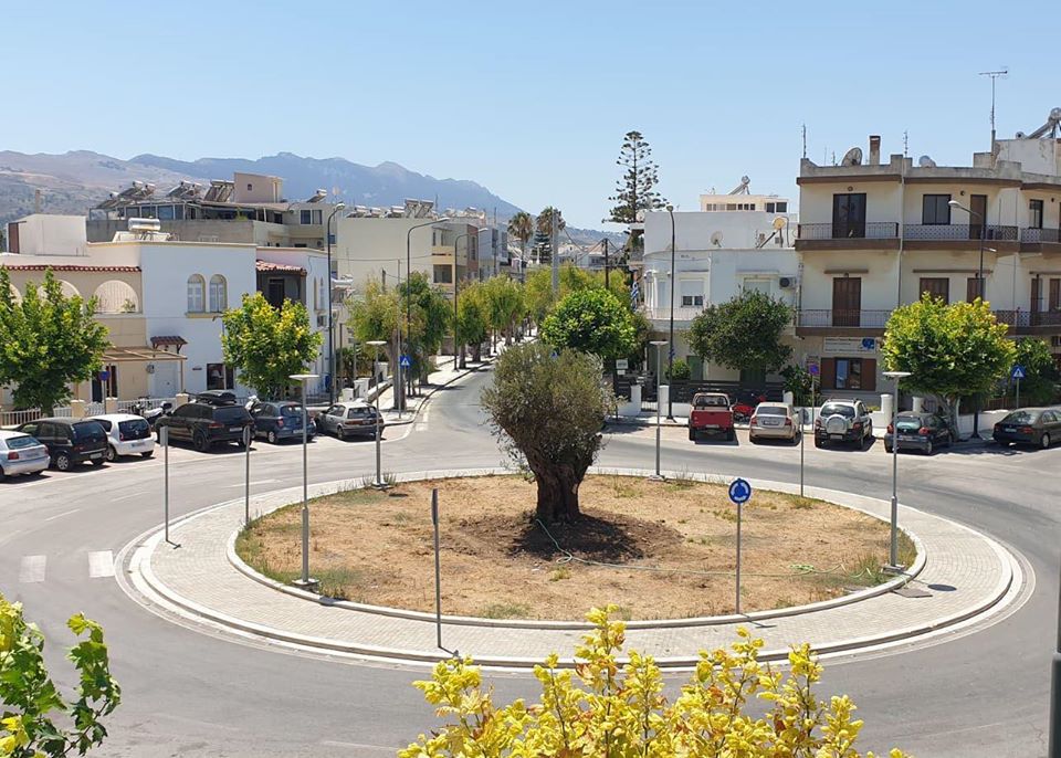 ΜΙΑ ΥΠΕΡΑΙΩΝΟΒΙΑ ΕΛΙΑ ΚΟΣΜΕΙ ΤΟΝ ΚΟΜΒΟ ΤΗΣ ΠΙΑΤΣΑ ΡΟΤΟΝΤΑ - vimatisko.gr