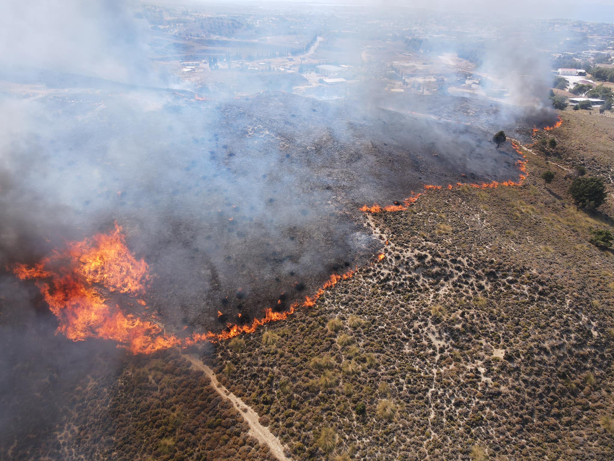 ΦΩΤΙΑ ΣΤΗΝ ΚΩ (ΚΟΝΤΑ ΣΤΟΝ ΠΡΩΗΝ ΣΚΟΥΠΙΔΟΤΟΠΟ ΣΤΟΝ ΑΓ. ΒΑΣΙΛΕΙΟ ...