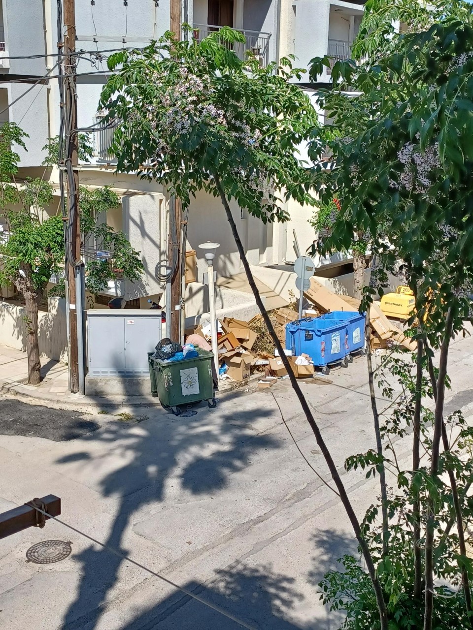 Αναγνώστρια: Υπέροχες εικόνες από την πεντακάθαρη πόλη μας... - vimatisko.gr