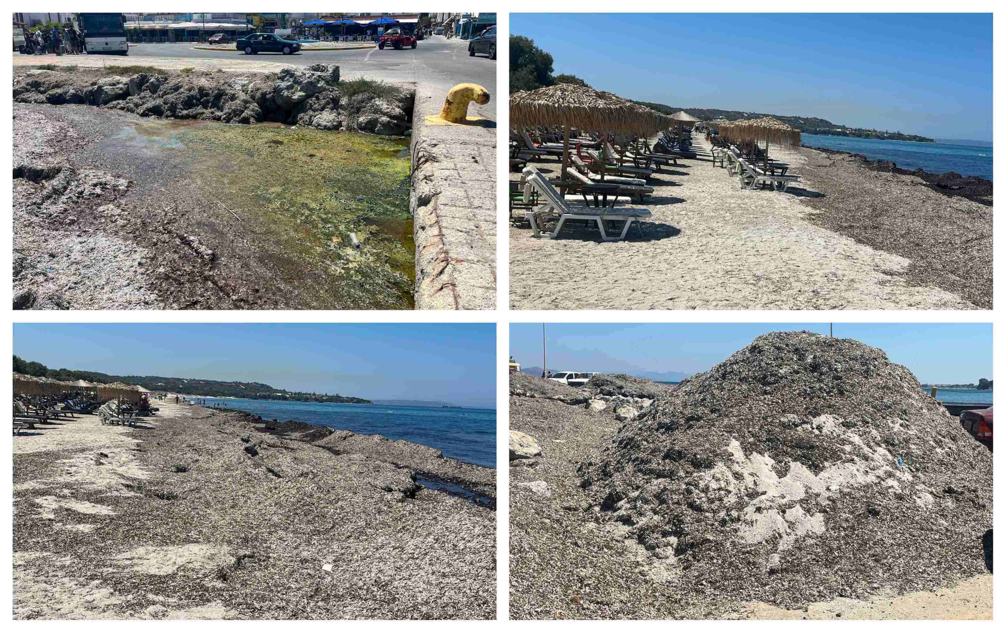 Αγανακτισμένοι κάτοικοι και επιχειρηματίες: Εικόνες ντροπής στο Μαστιχάρι! - vimatisko.gr