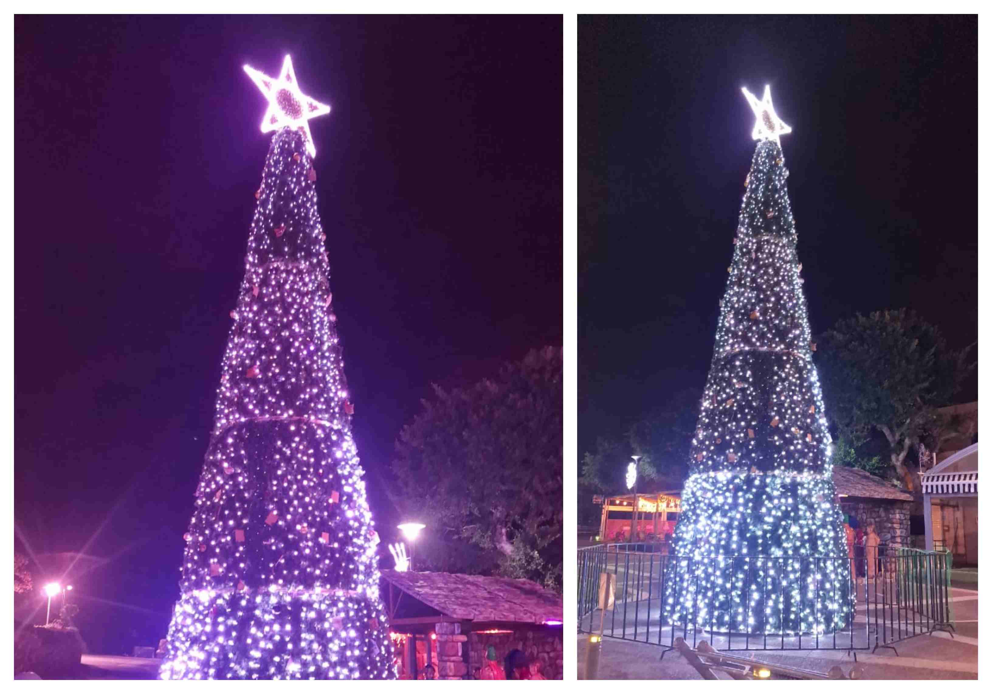 Σήμερα (12/12) η φωταγώγηση του δέντρου στην Πολη - vimatisko.gr