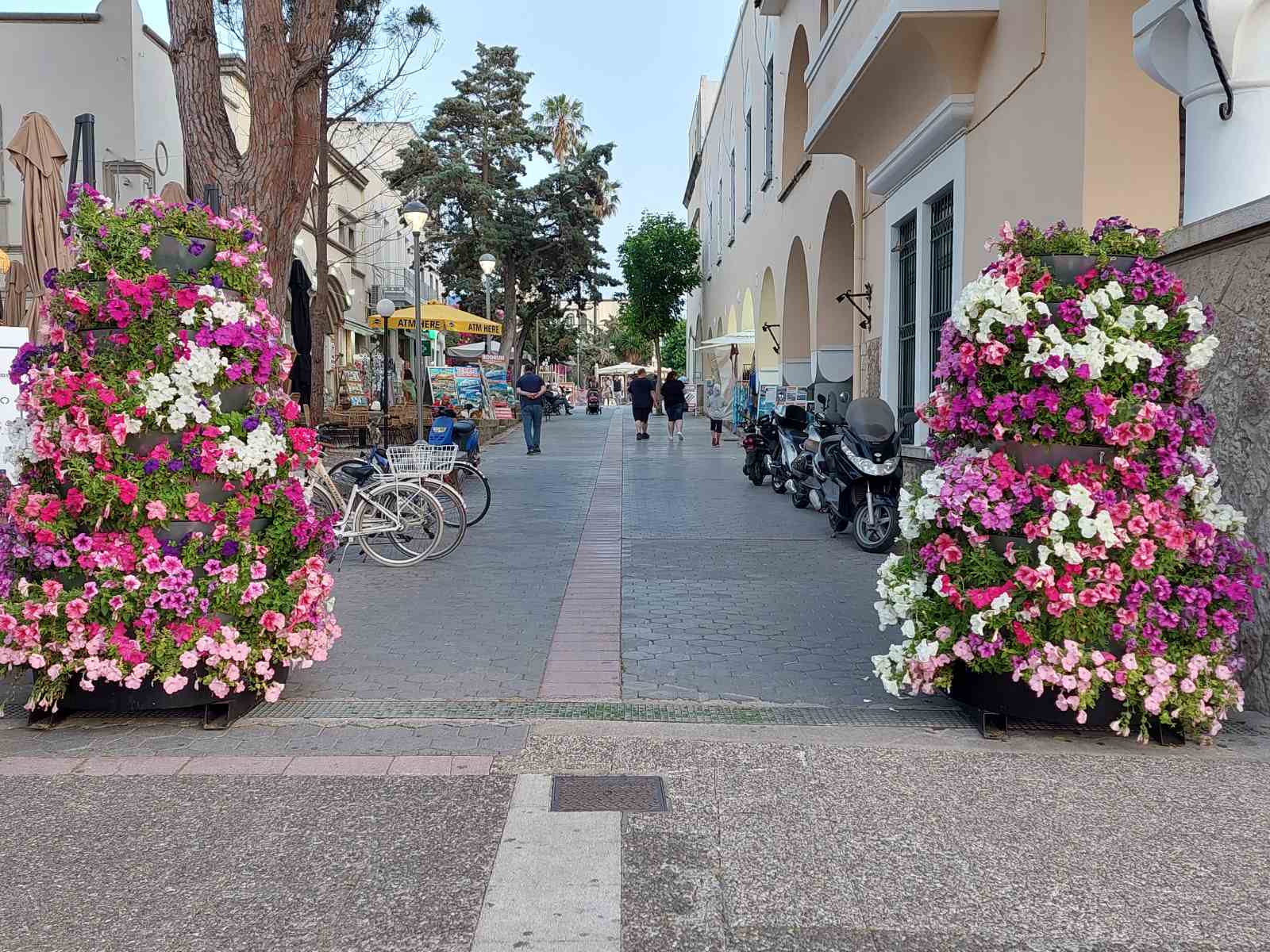 Τοποθετήθηκαν 2 τεράστιες ανθοστήλες κάτω από το Δημαρχείο - vimatisko.gr