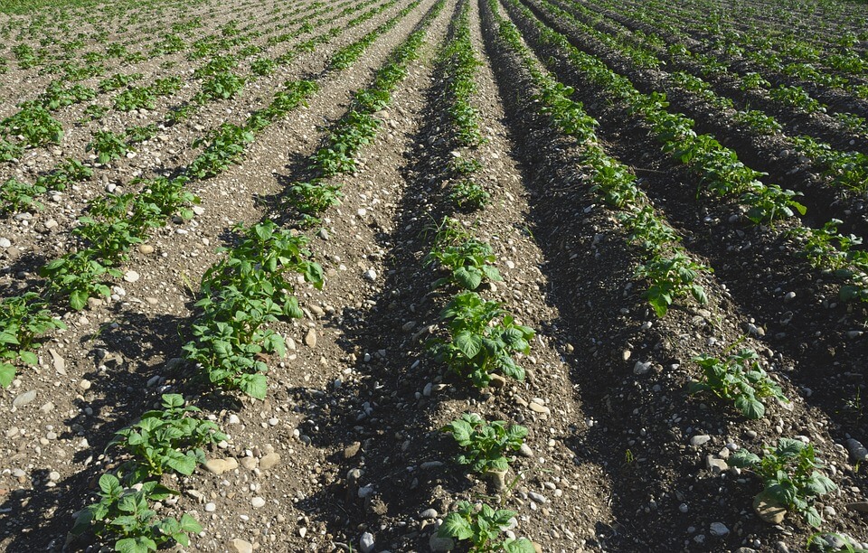 Αλλαγές στο νομικό πλαίσιο για ταχύτερη εισαγωγή εργαζομένων από τρίτες χώρες - vimatisko.gr