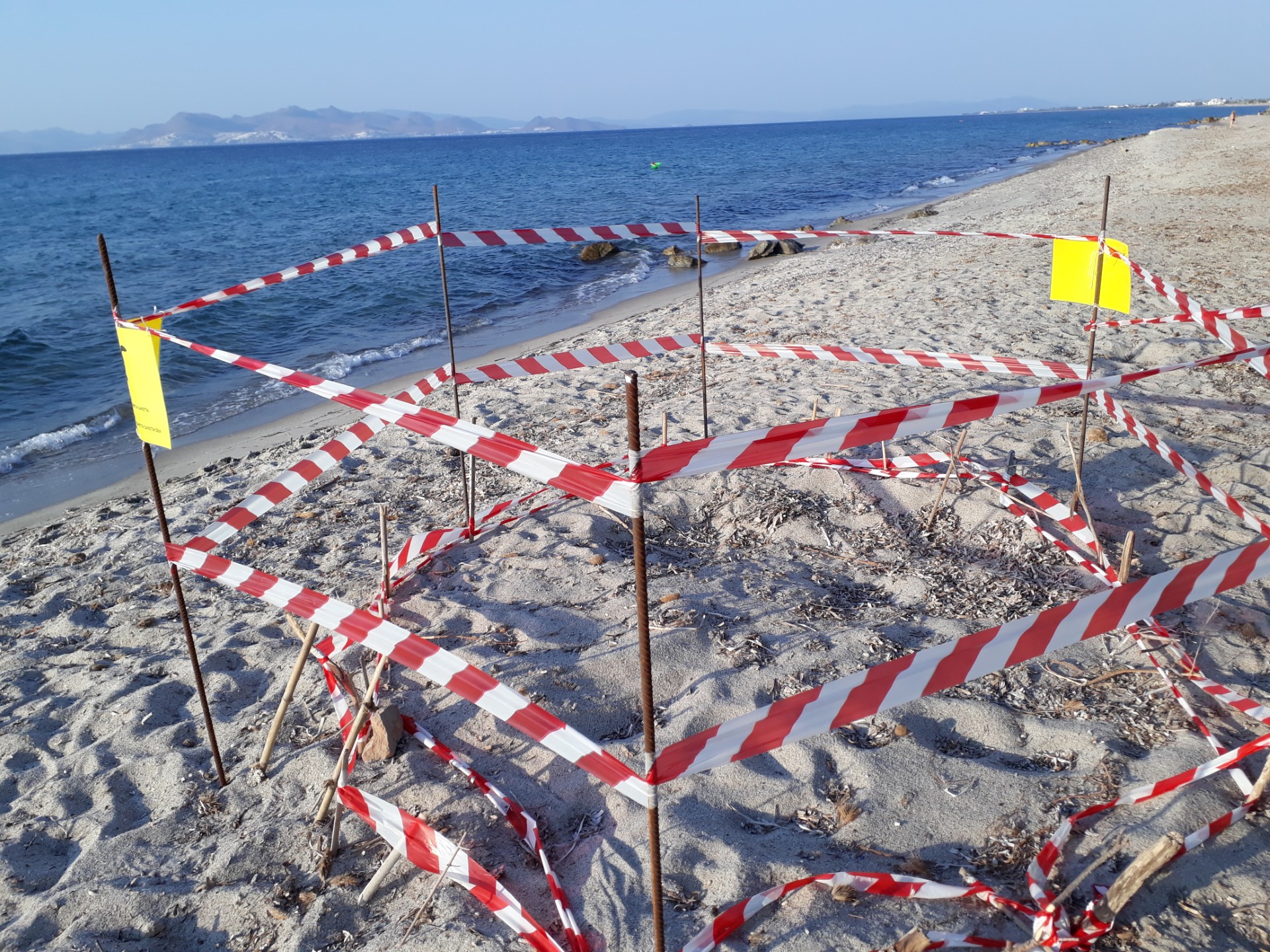 ΧΕΛΩΝΑ ΠΟΥ ΗΘΕΛΕ ΝΑ ΓΕΝΝΗΣΕΙ ΤΑ ΑΒΓΑ ΤΗΣ (ΓΡΑΦΕΙ Ο ΒΑΣΙΛΗΣ ΠΗΣ ...