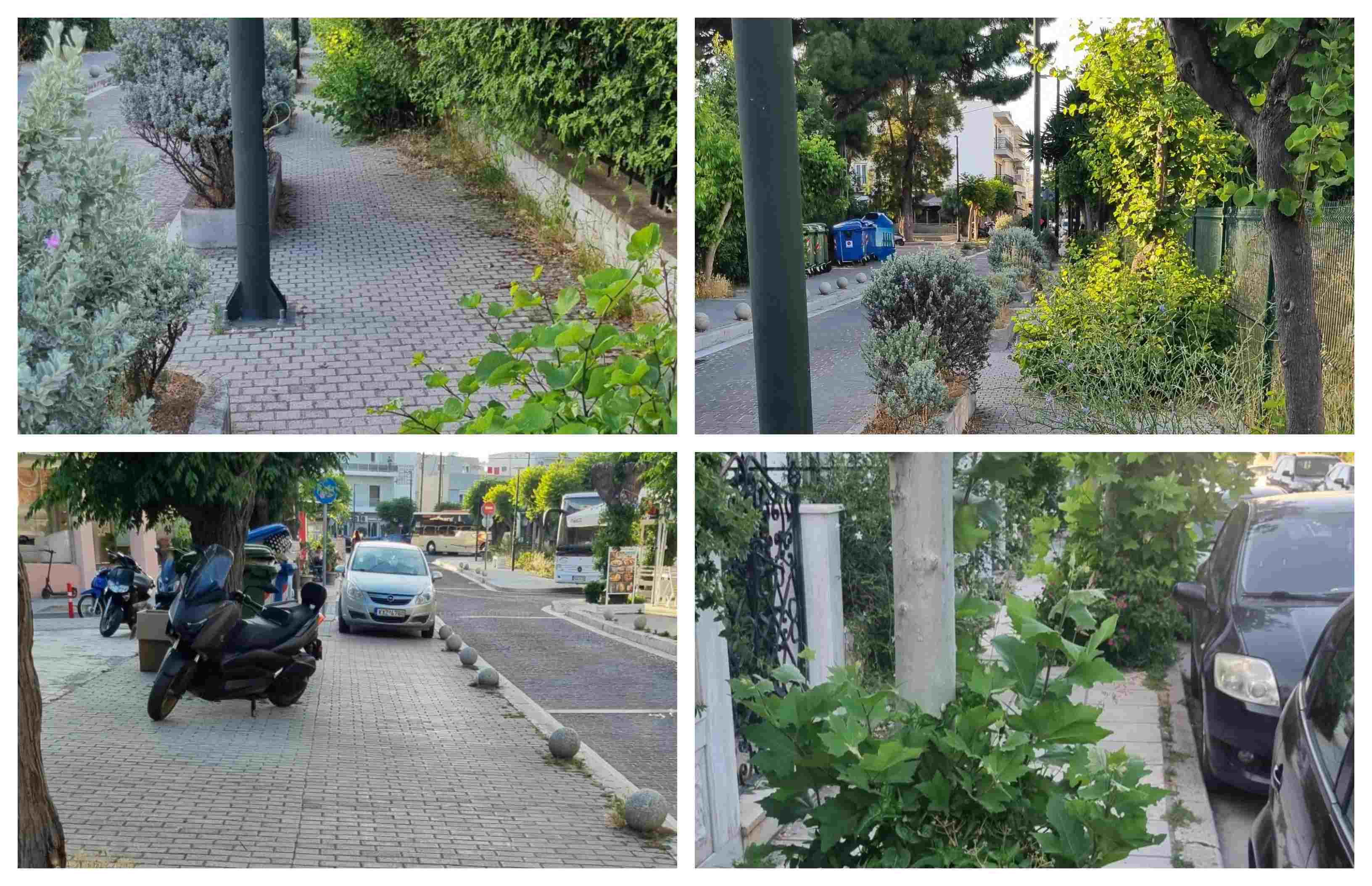 Aναγνώστης: Δυστυχώς αυτή είναι η κατάσταση στην Πόλη μας - vimatisko.gr