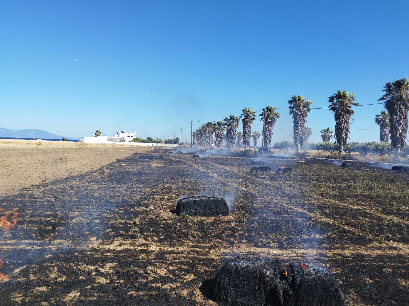 Φωτιά στην Καρδάμαινα (κάηκαν 7 στρέμματα) - vimatisko.gr