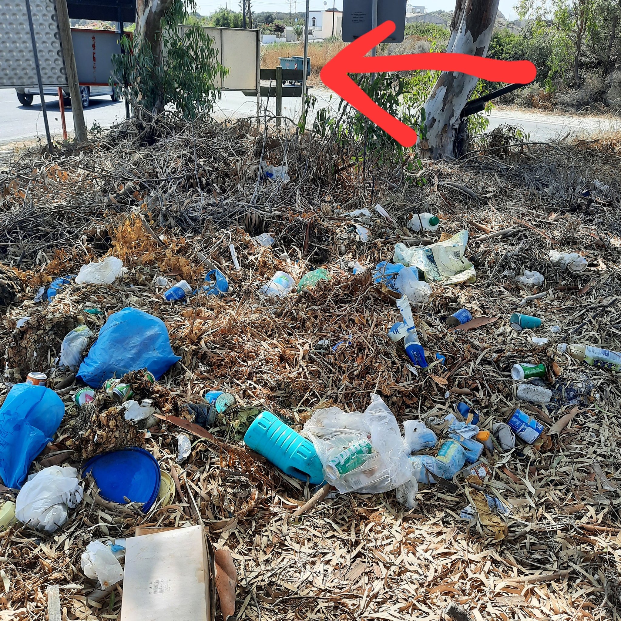 Αναγνώστρια: Αυτή είναι η πρώτη εικόνα των επισκεπτών στην Κέφαλο ...