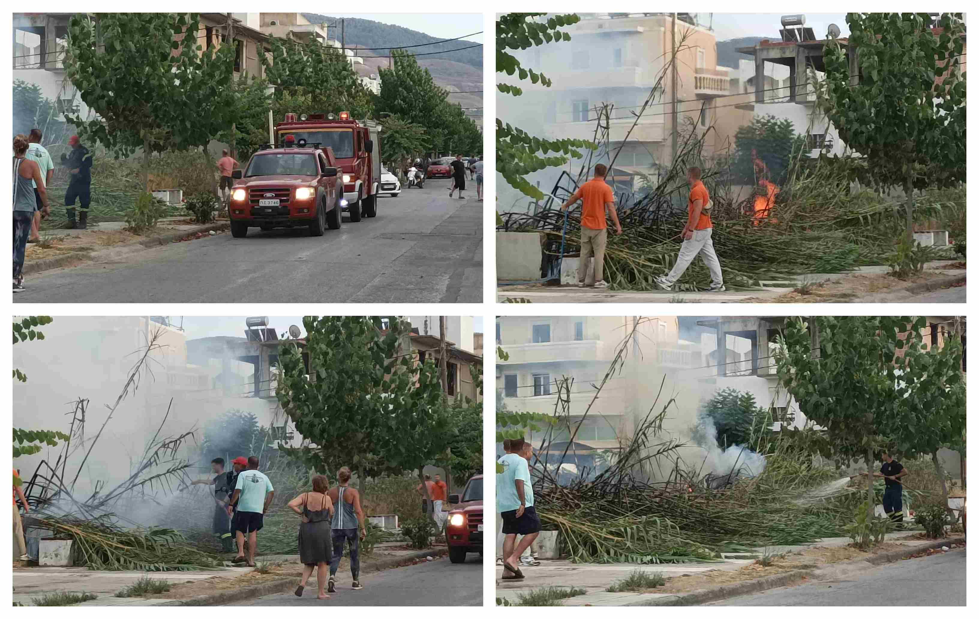 Φωτιά σε καλαμιές στην οδό Παπαθεοφάνους στην Κω - vimatisko.gr