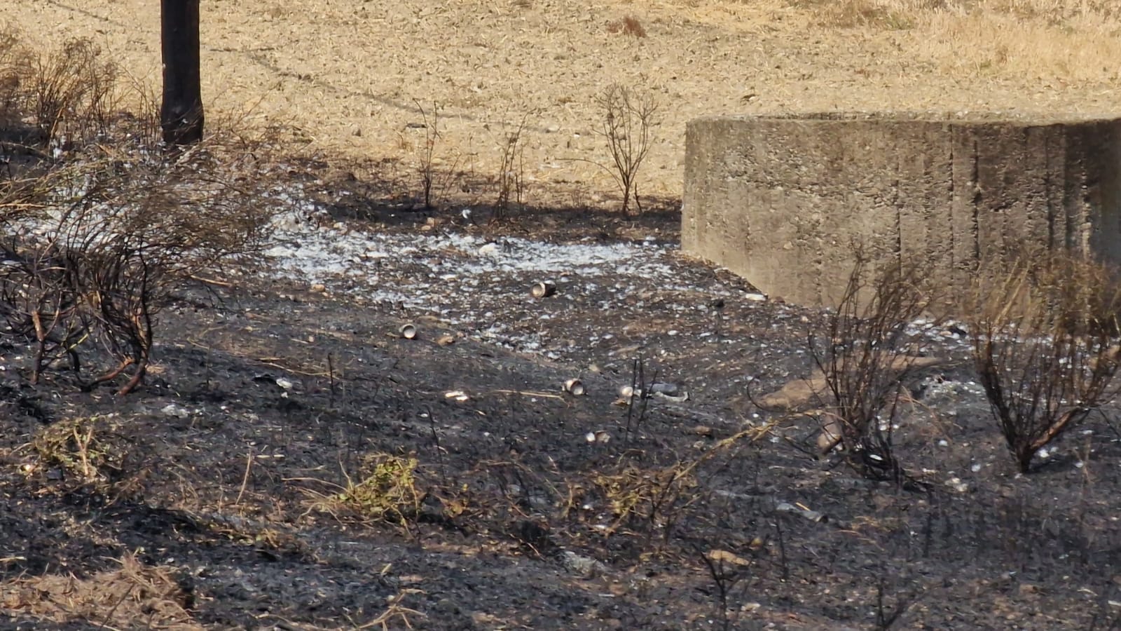 Συμβαίνει τώρα: Νέα φωτιά στην Καρδάμαινα - vimatisko.gr