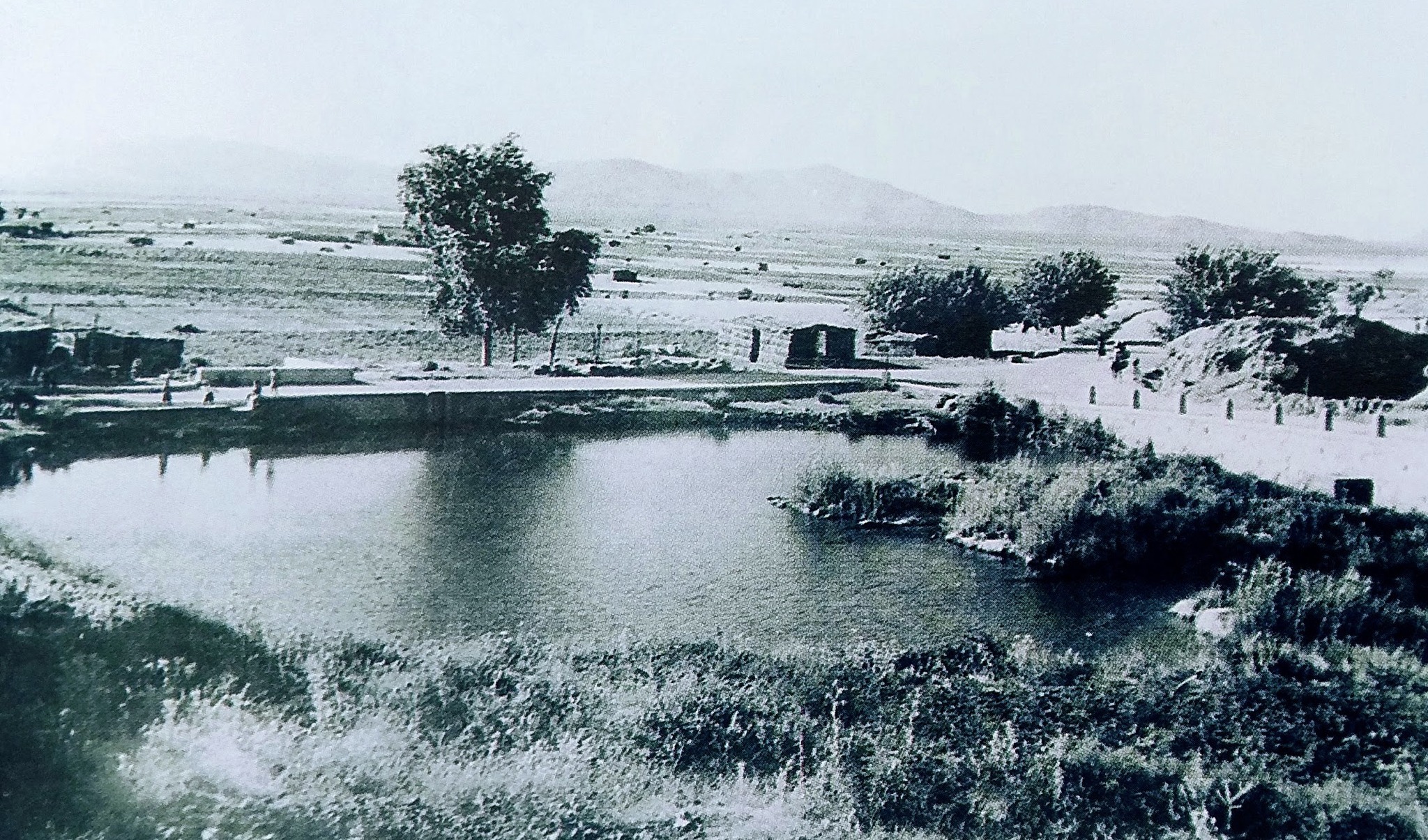 Τα "πουζουνίκια" και τα "αποκηπίσματα" των γεωργών (γράφει η Ξανθίππη Αγρέλλη) - vimatisko.gr