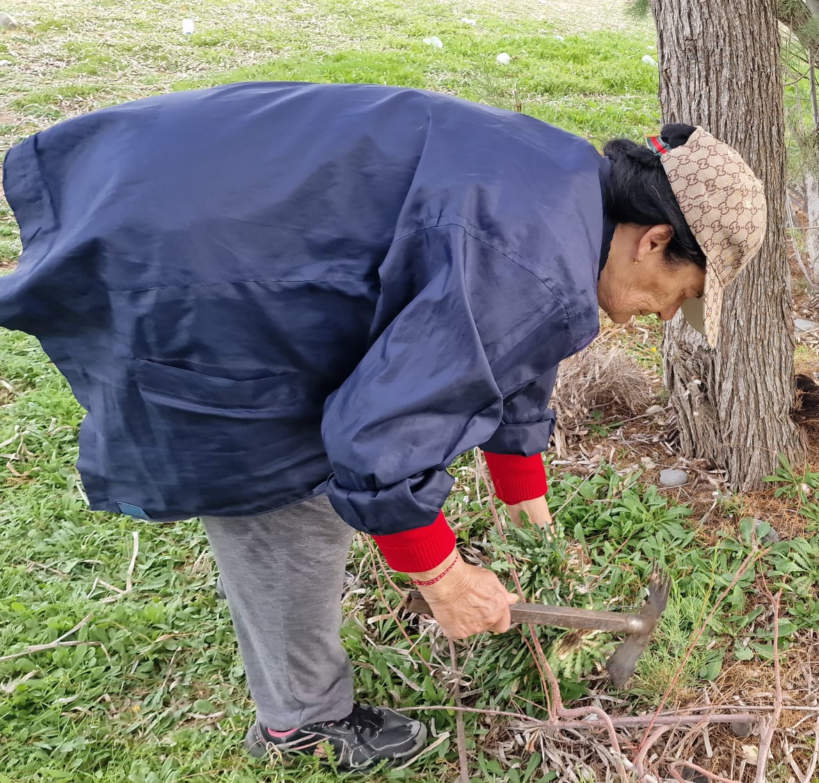 Μαζεύοντας σταμναγκάθια και χόρτα με την κ. Παρασκευή Βρούβα - vimatisko.gr