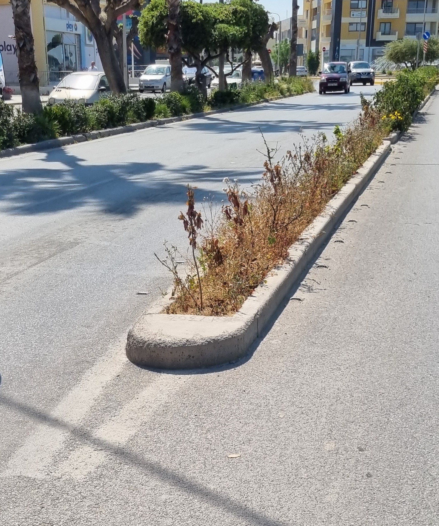 Αναγνώστης: Παρτέρια για κλάματα... Αδιαφορία και ανικανότητα! - vimatisko.gr