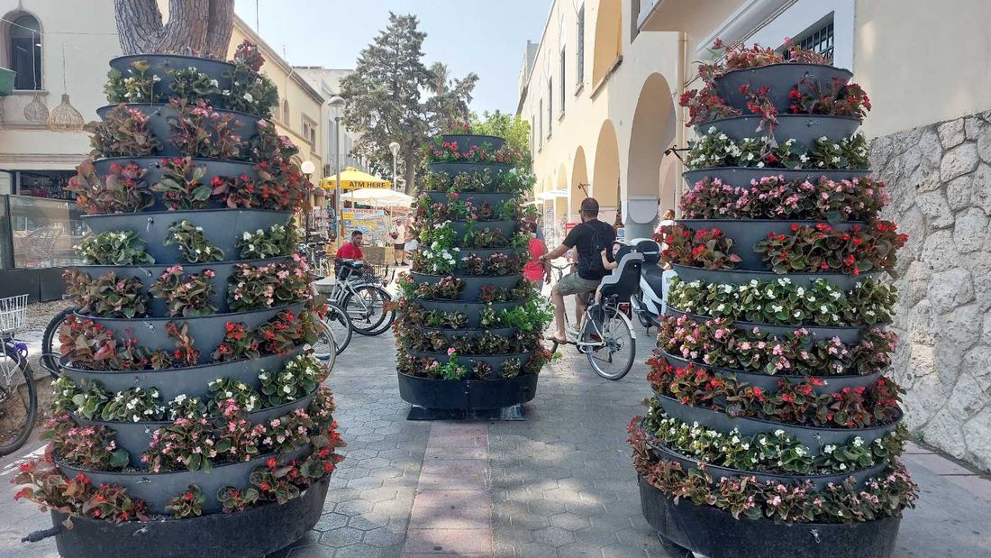 Αναγνώστης: Γιατί πρέπει να ερημώσει τελείως η Βασιλέως Παύλου; - vimatisko.gr