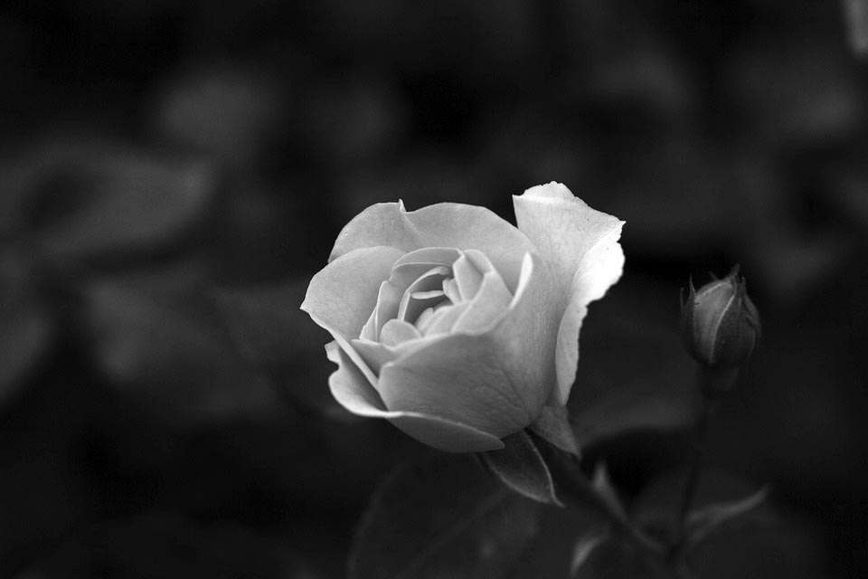 "Έφυγε" από τη ζωή ο αγαπητός συμπολίτης μας Εμμανουήλ Καϊλας (65 ετών) - vimatisko.gr