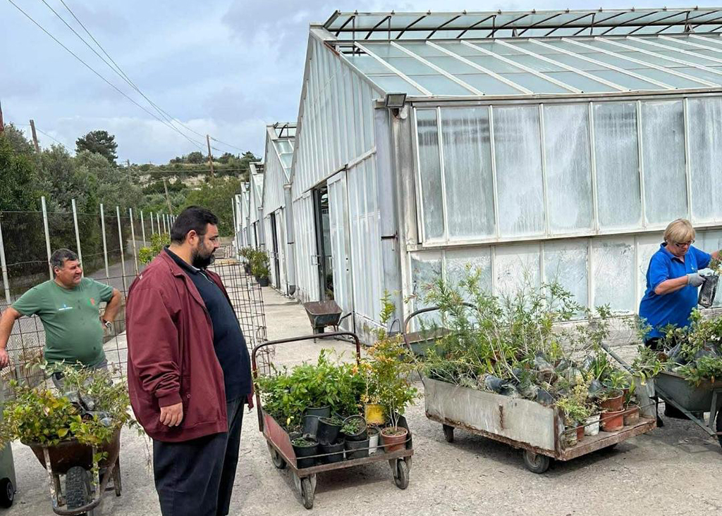 2.700 φυτά από το Περιφερειακό Φυτώριο αλλάζουν το περιβάλλον την ποιότητα ζωής στα νησιά ...